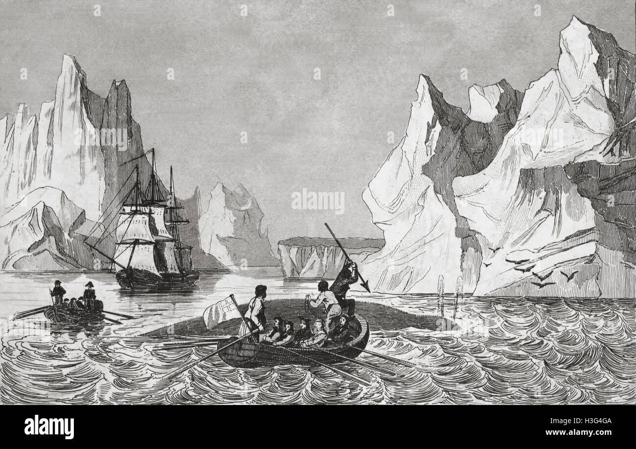 Whale hunting, fishing at Spitzberg, Spitzbergen, Svalbard, Norway ...