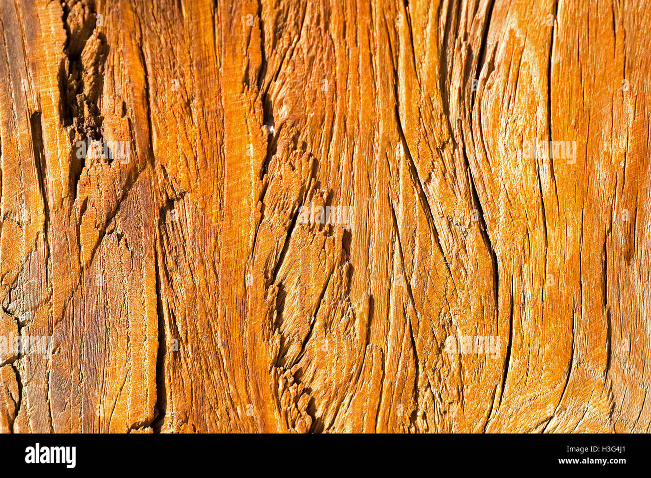 Wood Texture Close Up. Abstract Background Stock Photo - Alamy