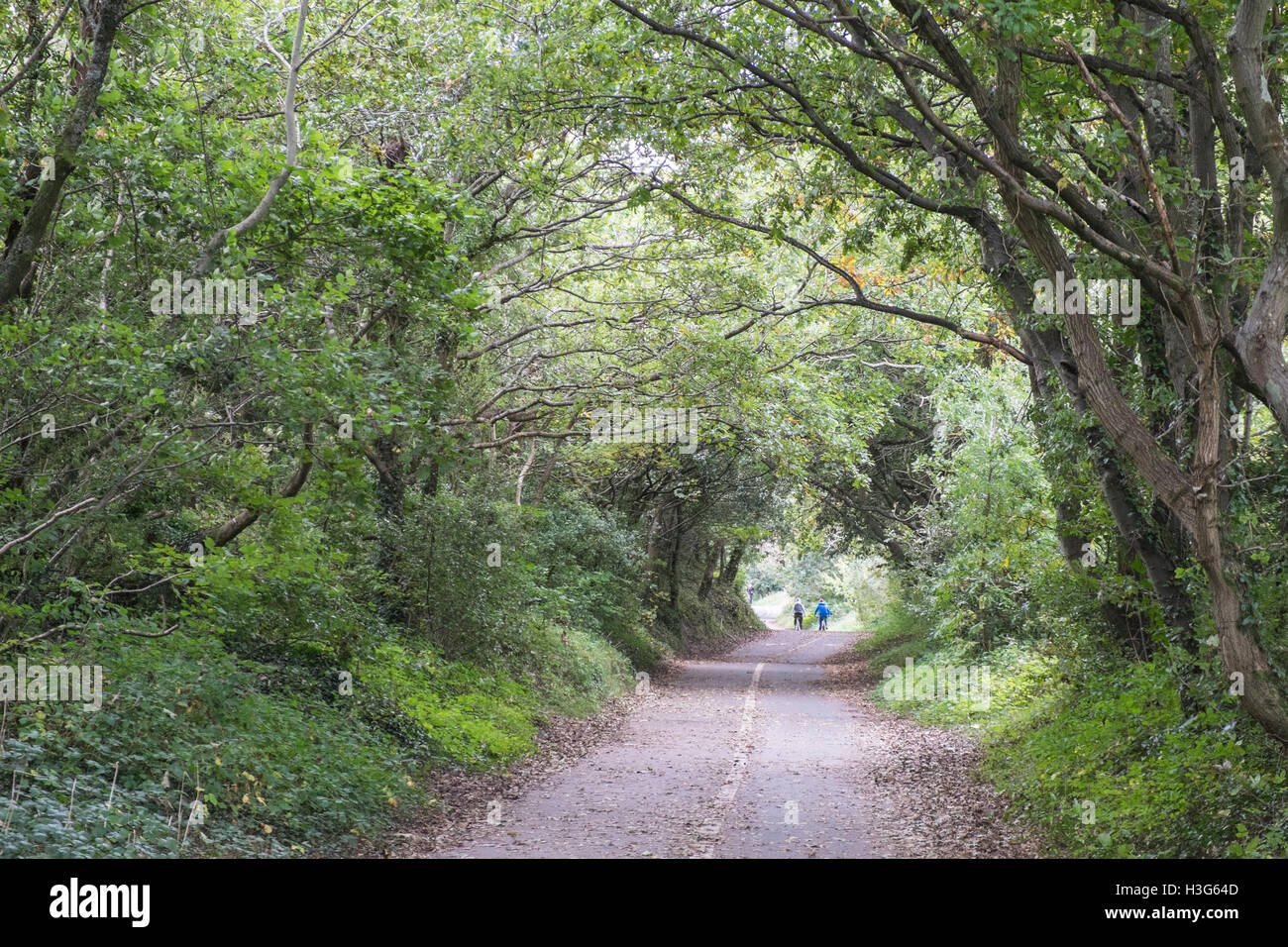 Bay path university hi-res stock photography and images - Alamy