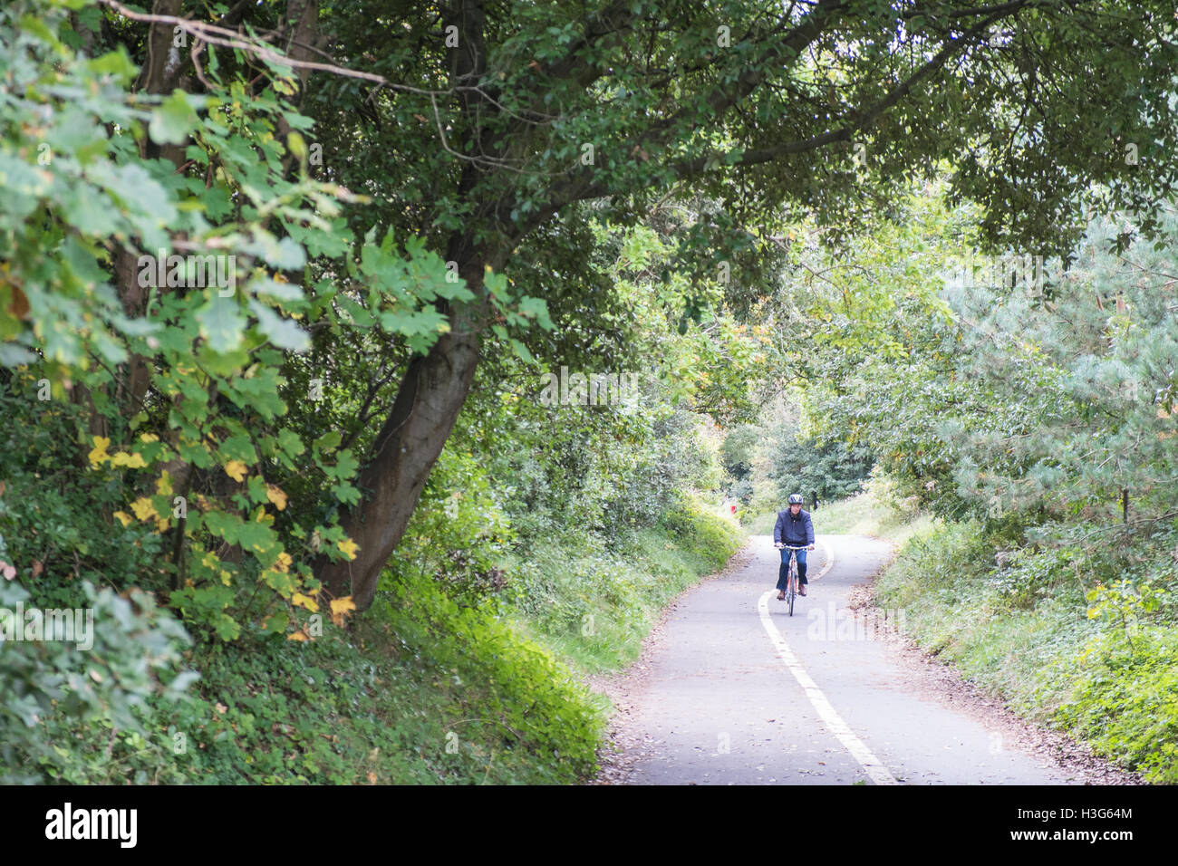 Cycle path,walking path from Swansea University to The Mumbles,Swansea ...