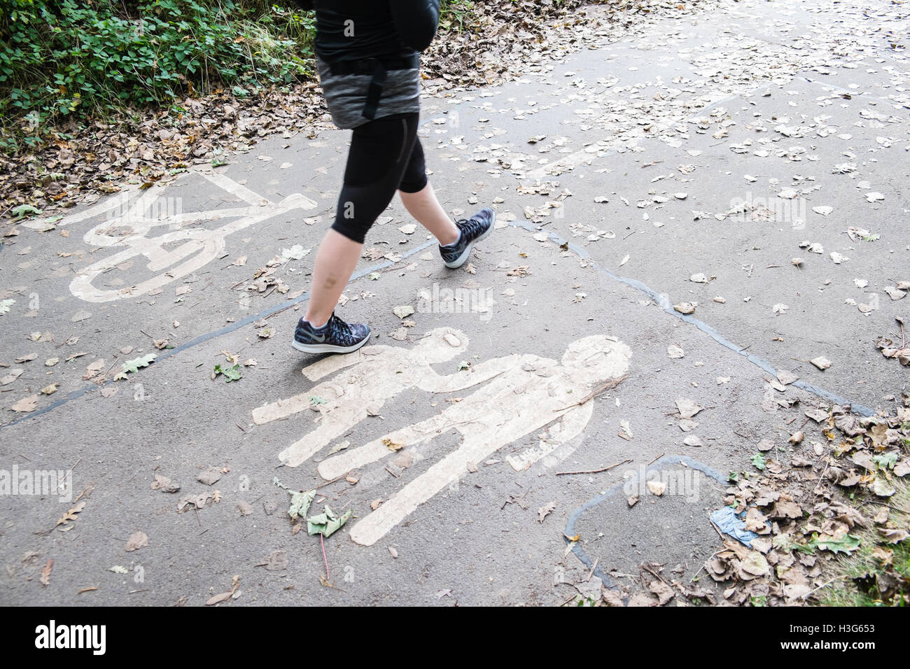 Cycle path,walking path from Swansea University to The Mumbles,Swansea ...