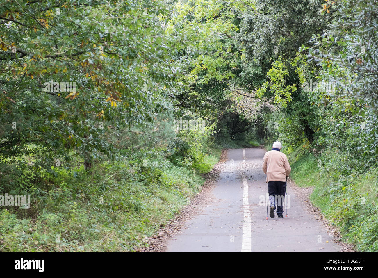 Cycle path,walking path from Swansea University to The Mumbles,Swansea ...