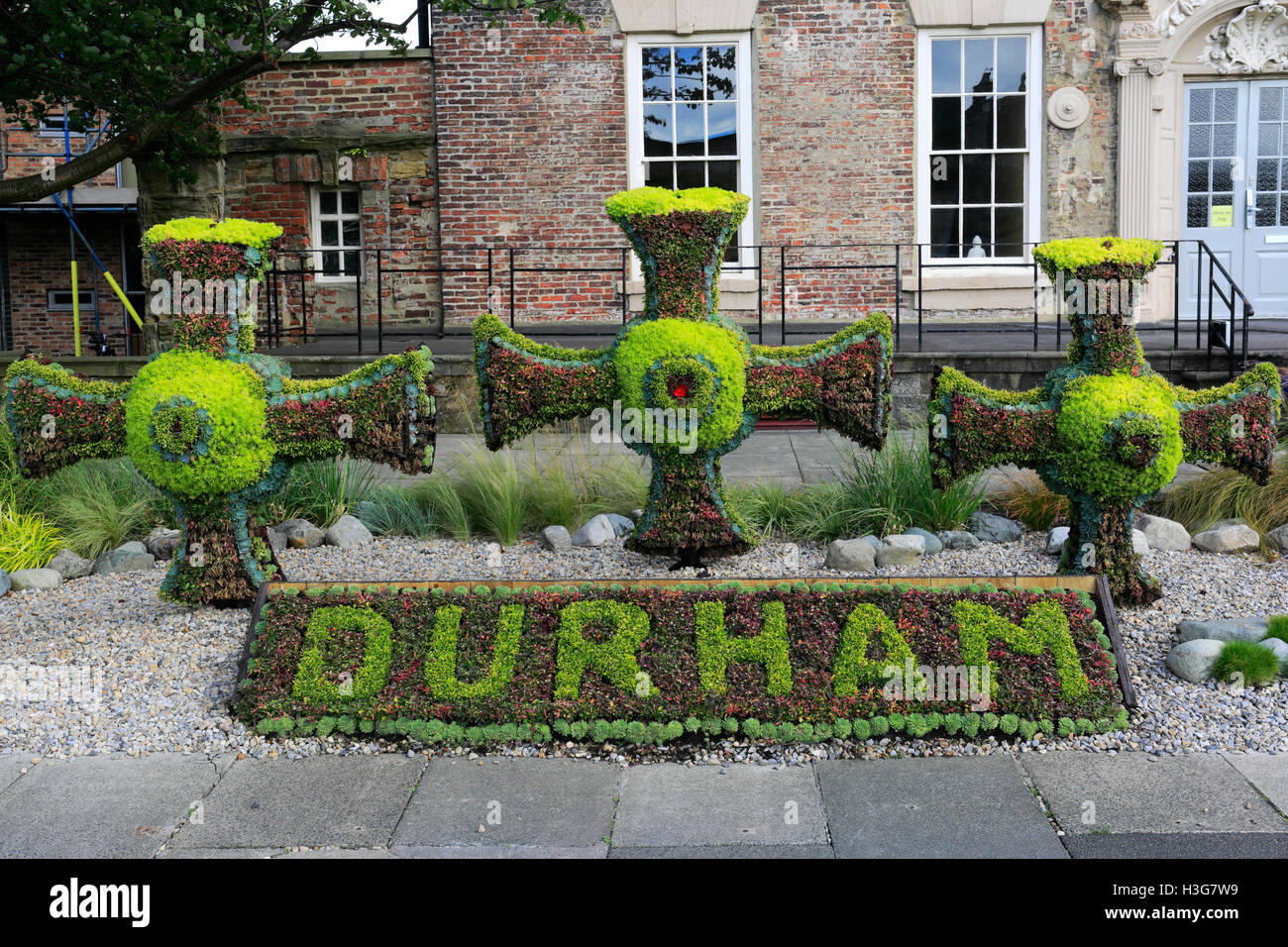 Citycathedral hi-res stock photography and images - Alamy