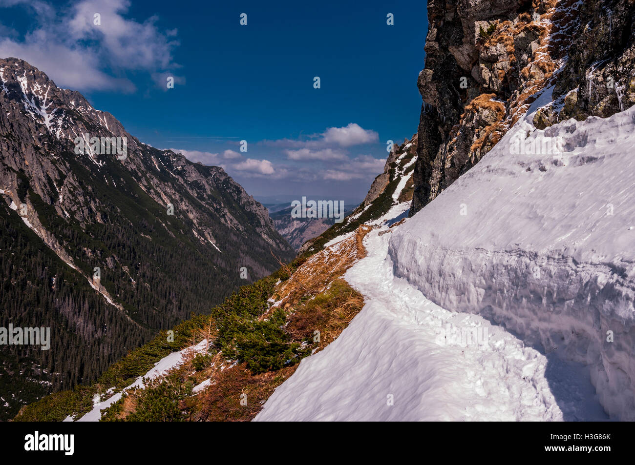 Panorama mountain spring landscape Stock Photo - Alamy