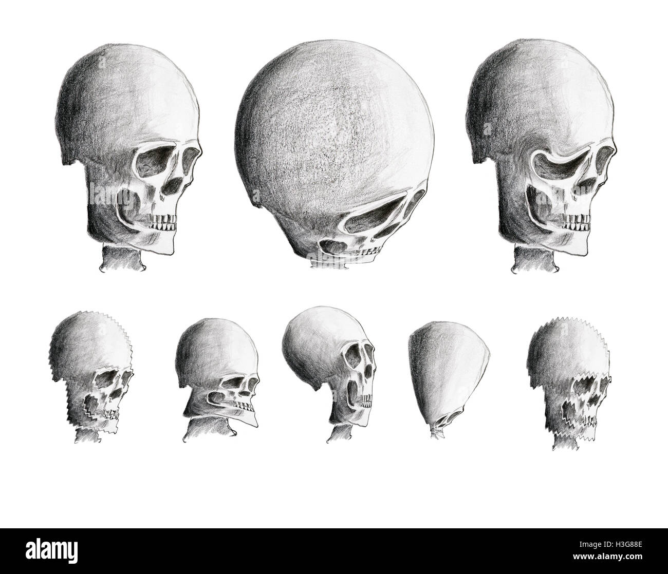 Terrifying design hi-res stock photography and images - Alamy