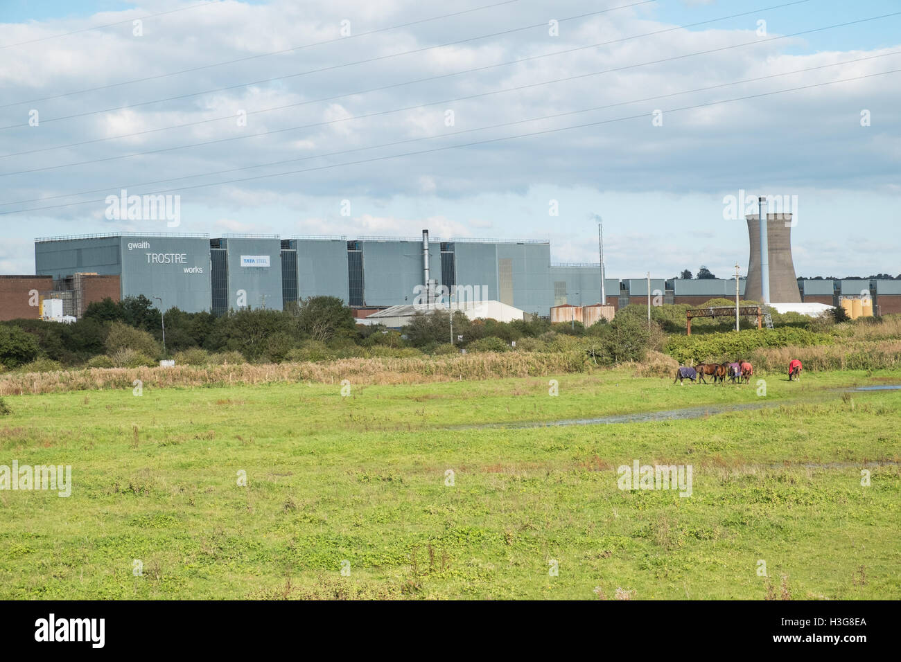 Trostre hi-res stock photography and images - Alamy