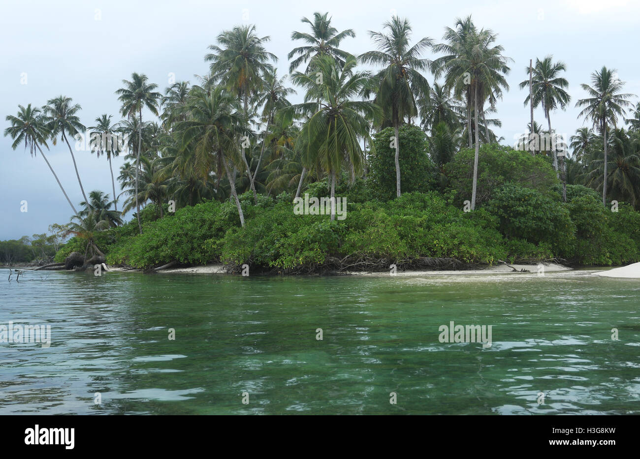 The Palm Island Stock Photo - Alamy