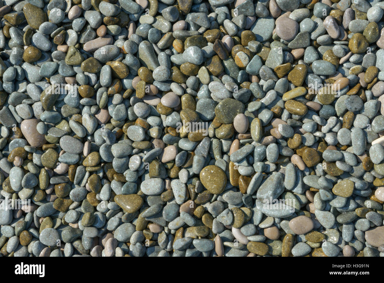 Close-up view of wet multicolored pebble of sea beach as a background ...