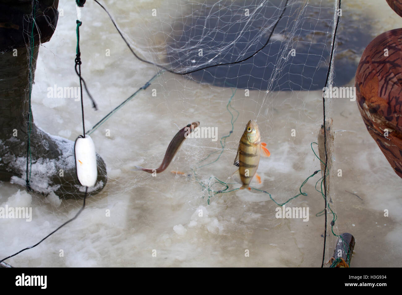 catching by a marine net in the winter in an ice-hole Stock Photo - Alamy