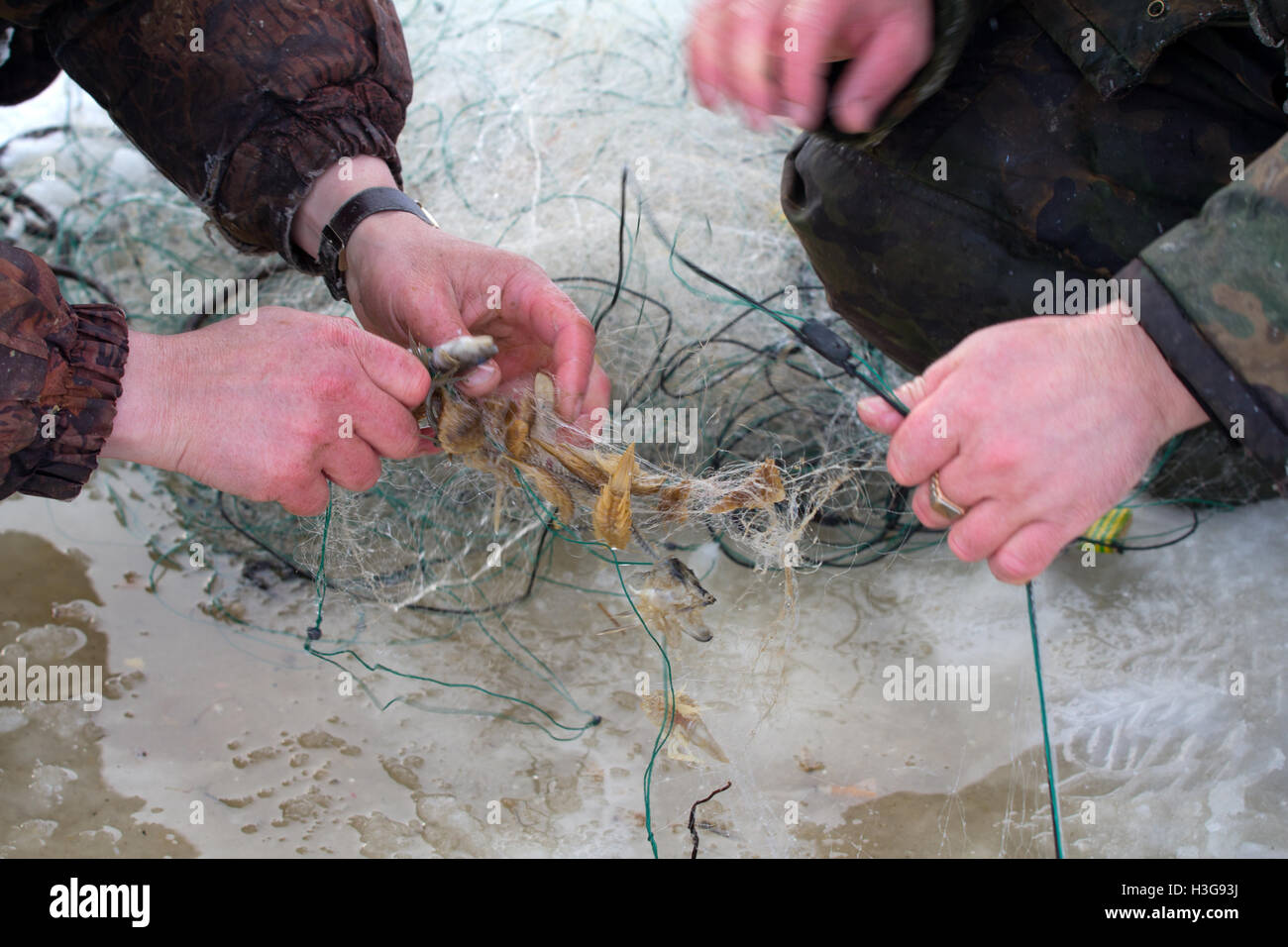catching by a marine net in the winter in an ice-hole Stock Photo - Alamy