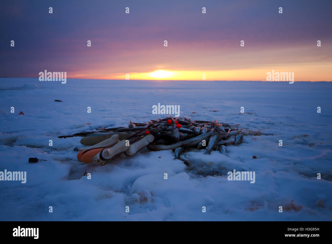 fishing on the Baltic Sea Stock Photo - Alamy