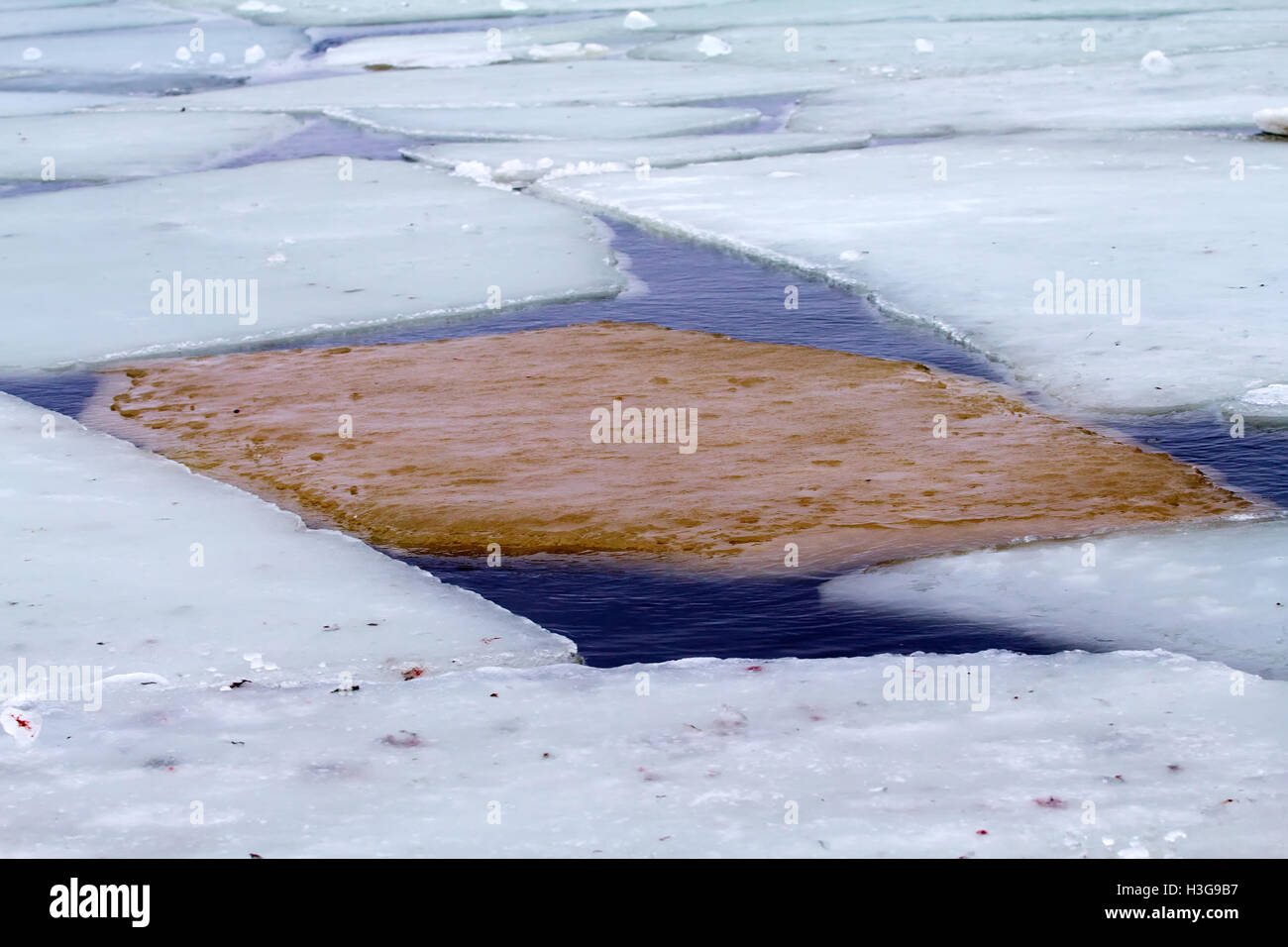 Separate forms hi-res stock photography and images - Alamy