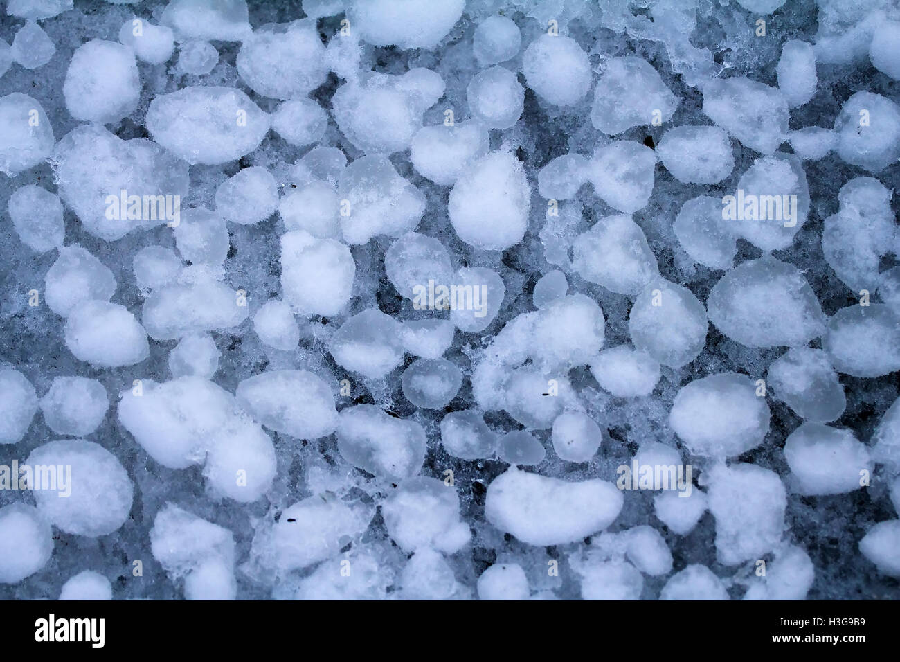 forms of sea ice near the coast Stock Photo - Alamy
