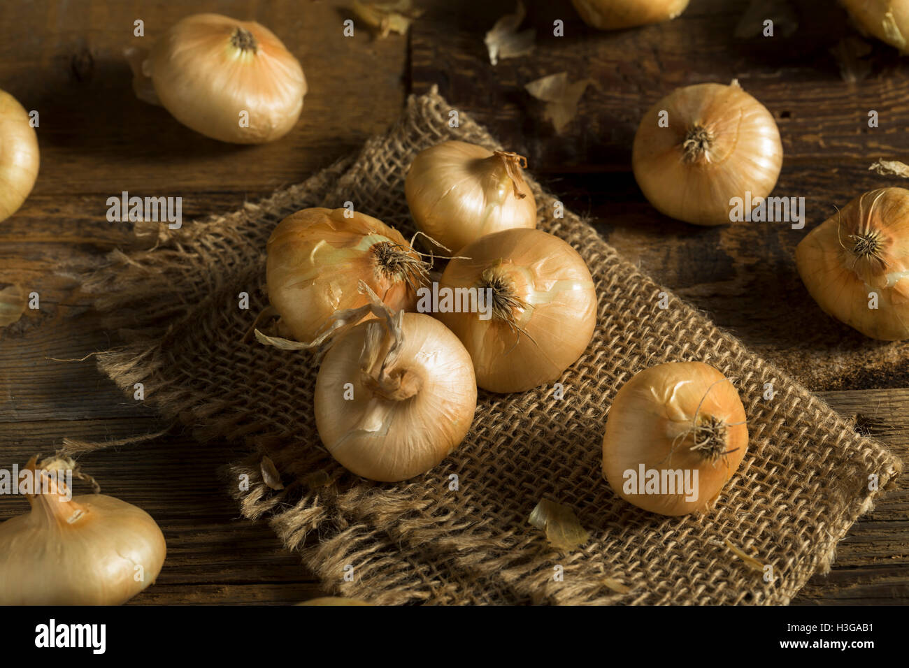 Cipollini onions hi-res stock photography and images - Alamy