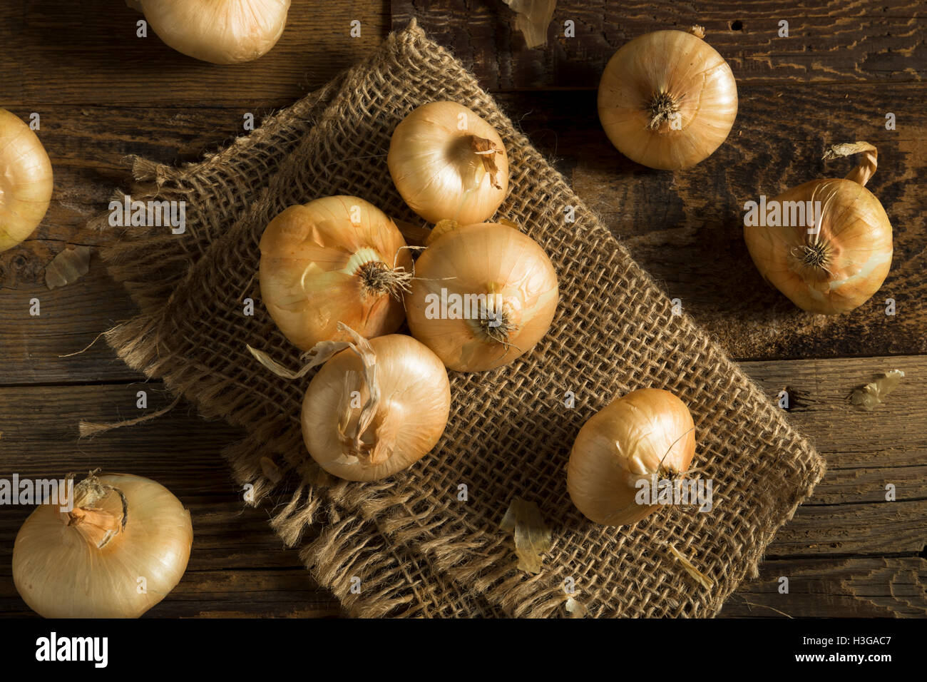 Raw Organic Cipollini Onions Ready for Cooking Stock Photo - Alamy