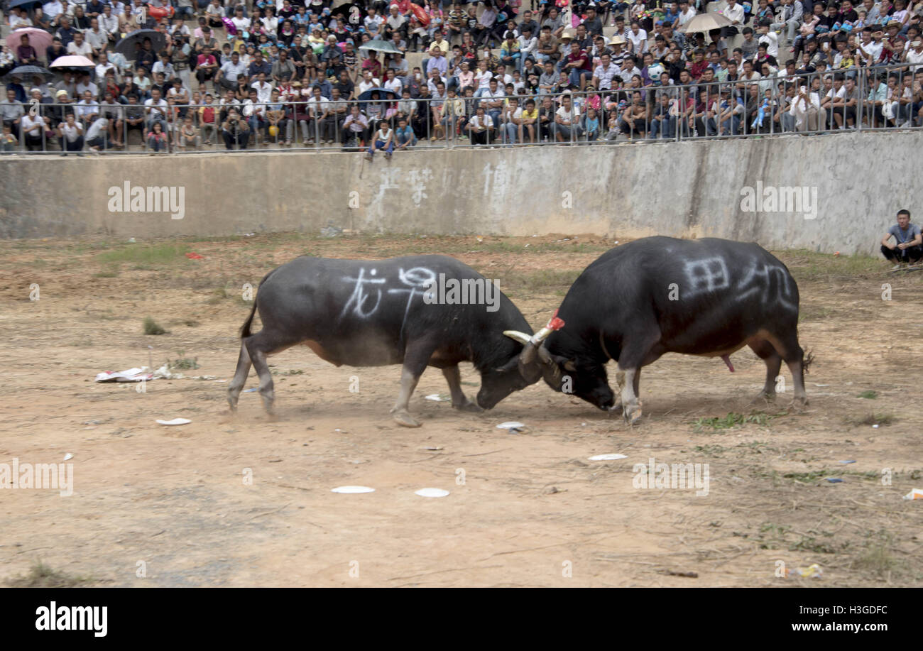 China. 2nd Oct, 2016. Guizhou, CHINA-October 2 2016:?(EDITORIAL?USE ...