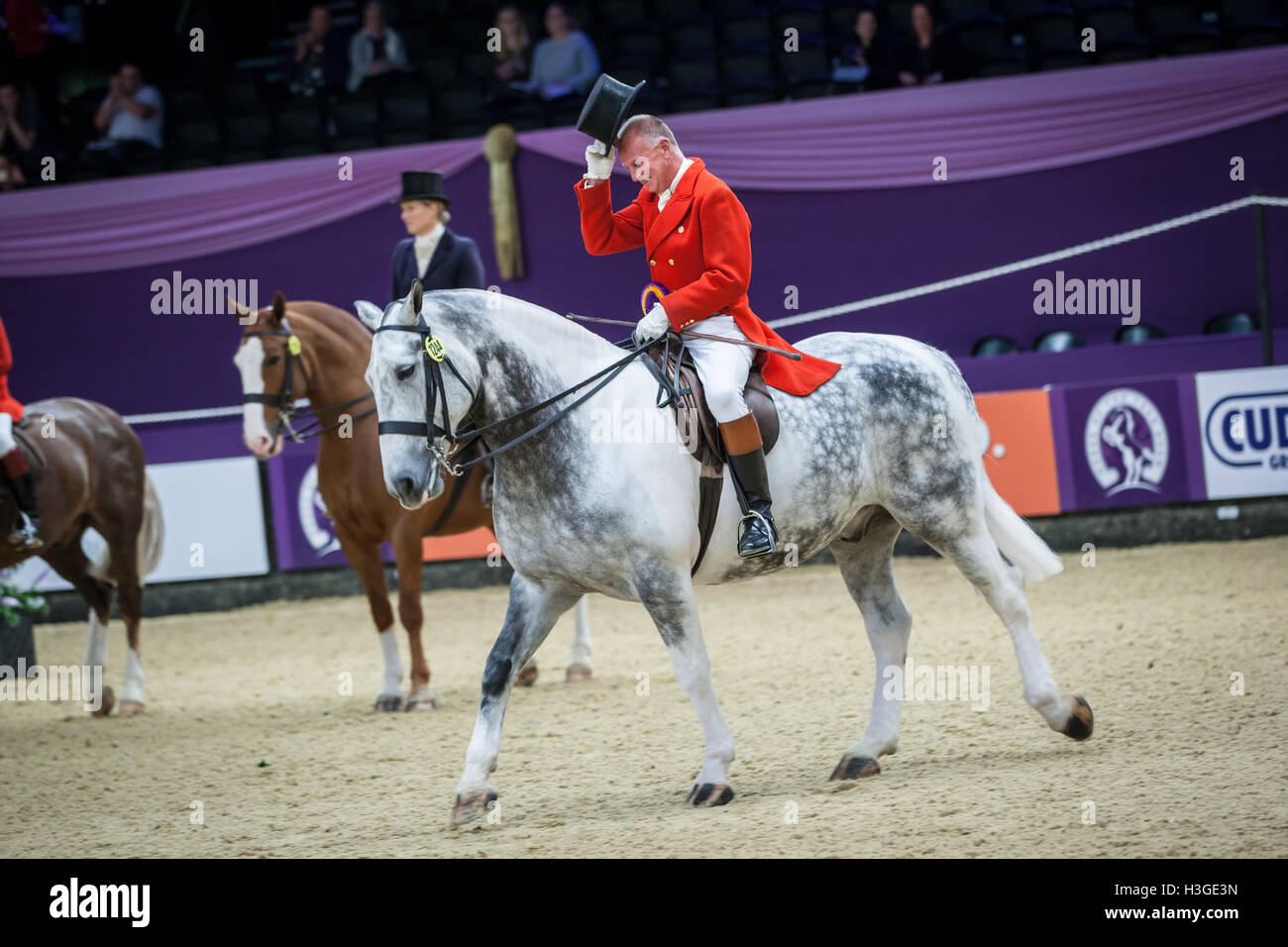Birmingham, UK. 08th Oct, 2016. The Lightweight Cob of the Year winner ...