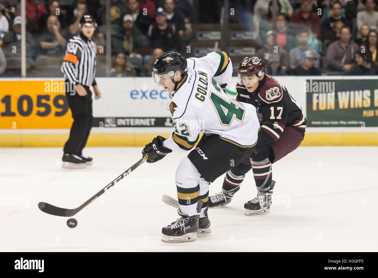 Golden knights hockey game hi-res stock photography and images - Alamy