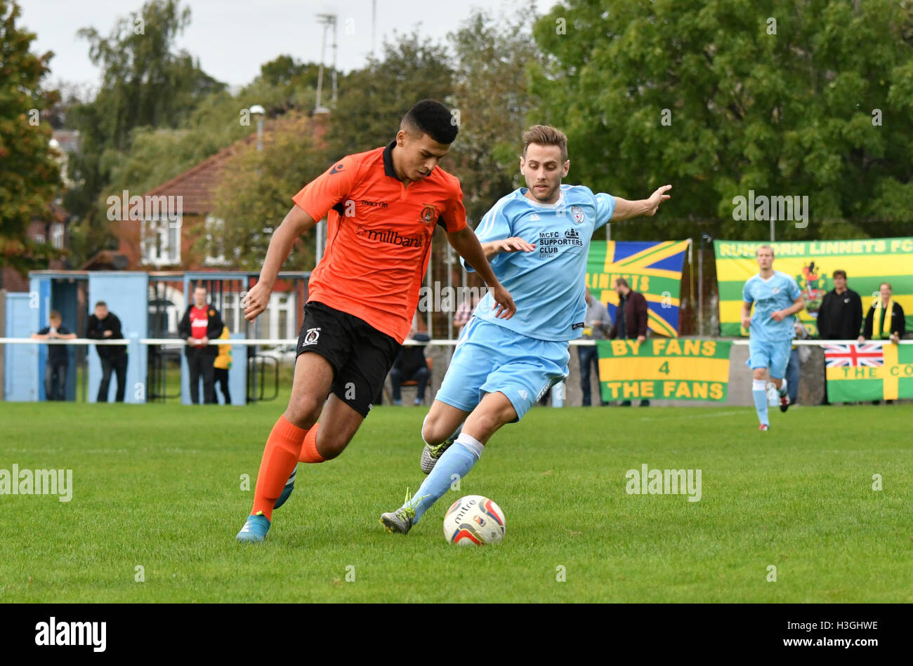 Runcorn linnets hi-res stock photography and images - Alamy