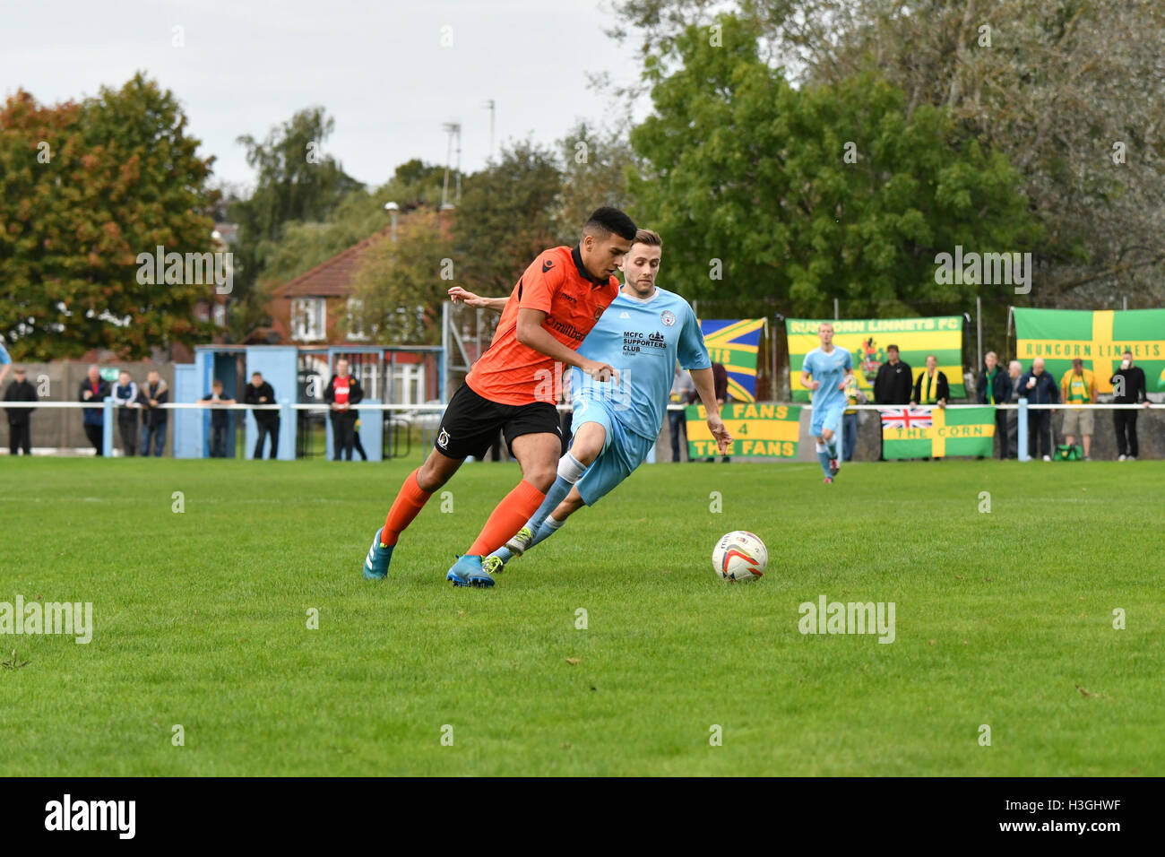 Runcorn linnets hi-res stock photography and images - Alamy