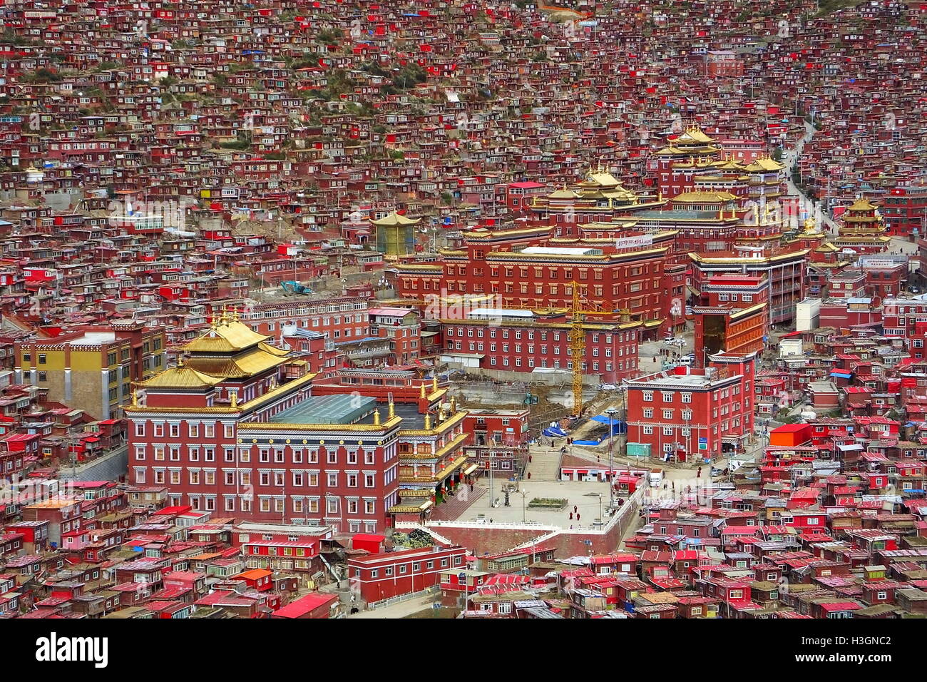 Garze, Sichuan, China. 29th Sep, 2016. The red houses at the Larung Gar ...