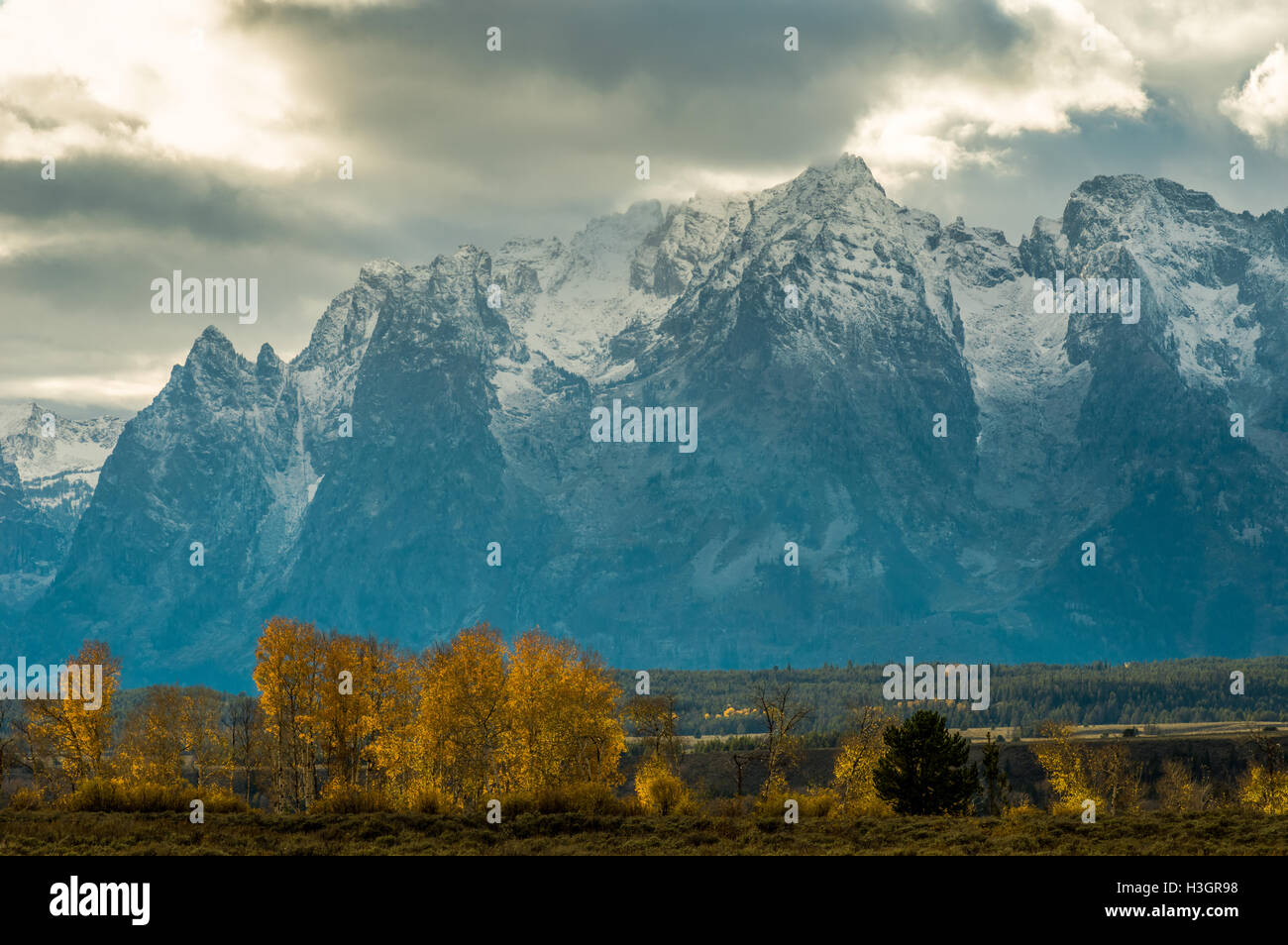 Fall colors burst with light below the Grand Tetons Stock Photo - Alamy