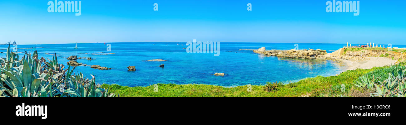 The beach zone of Caesarea with the succulents and agava leaves on the ...