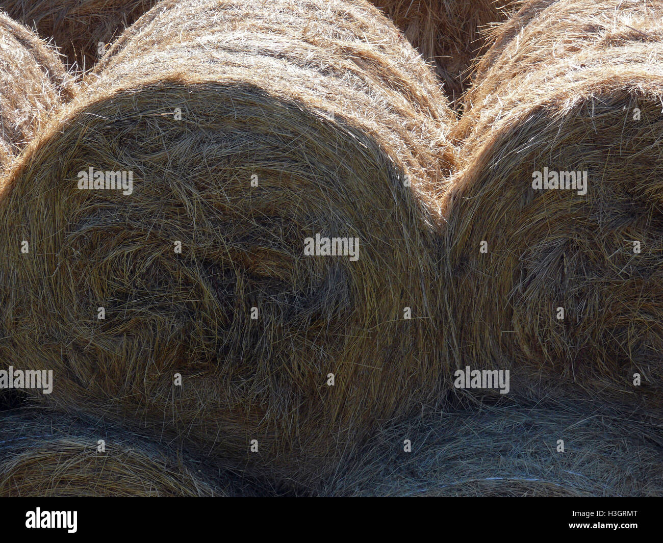 Top of haystack hi-res stock photography and images - Alamy