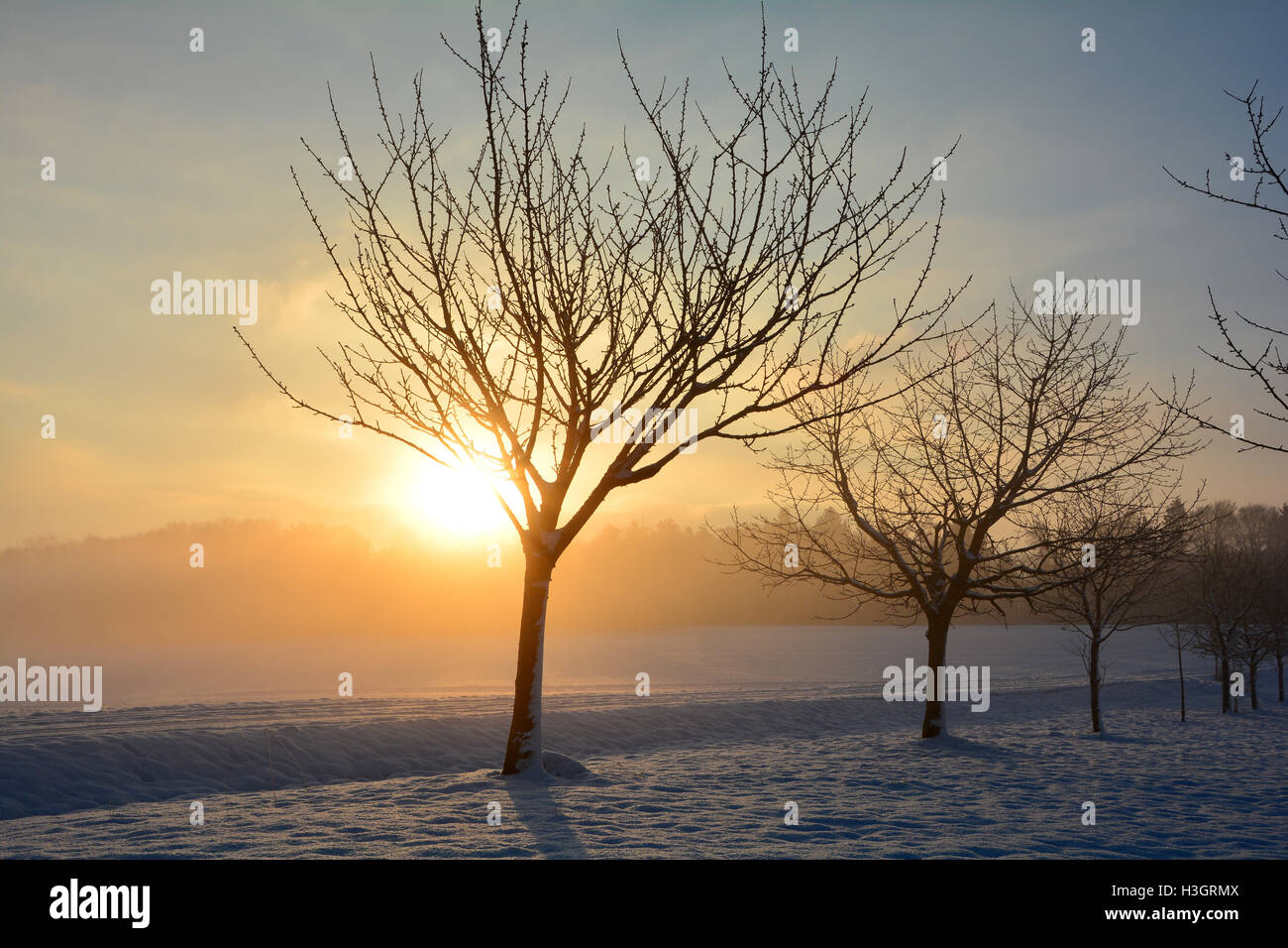 Field sunrise snow hi-res stock photography and images - Alamy