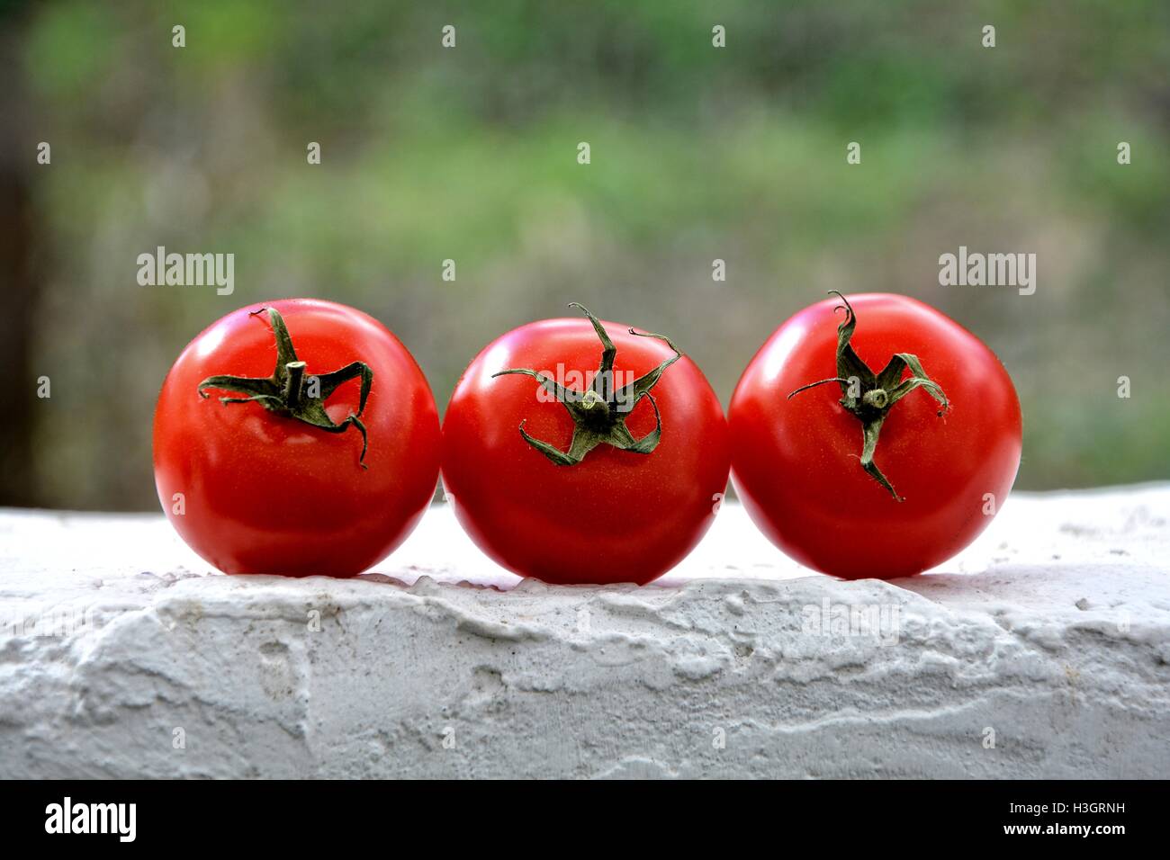 Three tomatoes on white walls with green background Stock Photo - Alamy