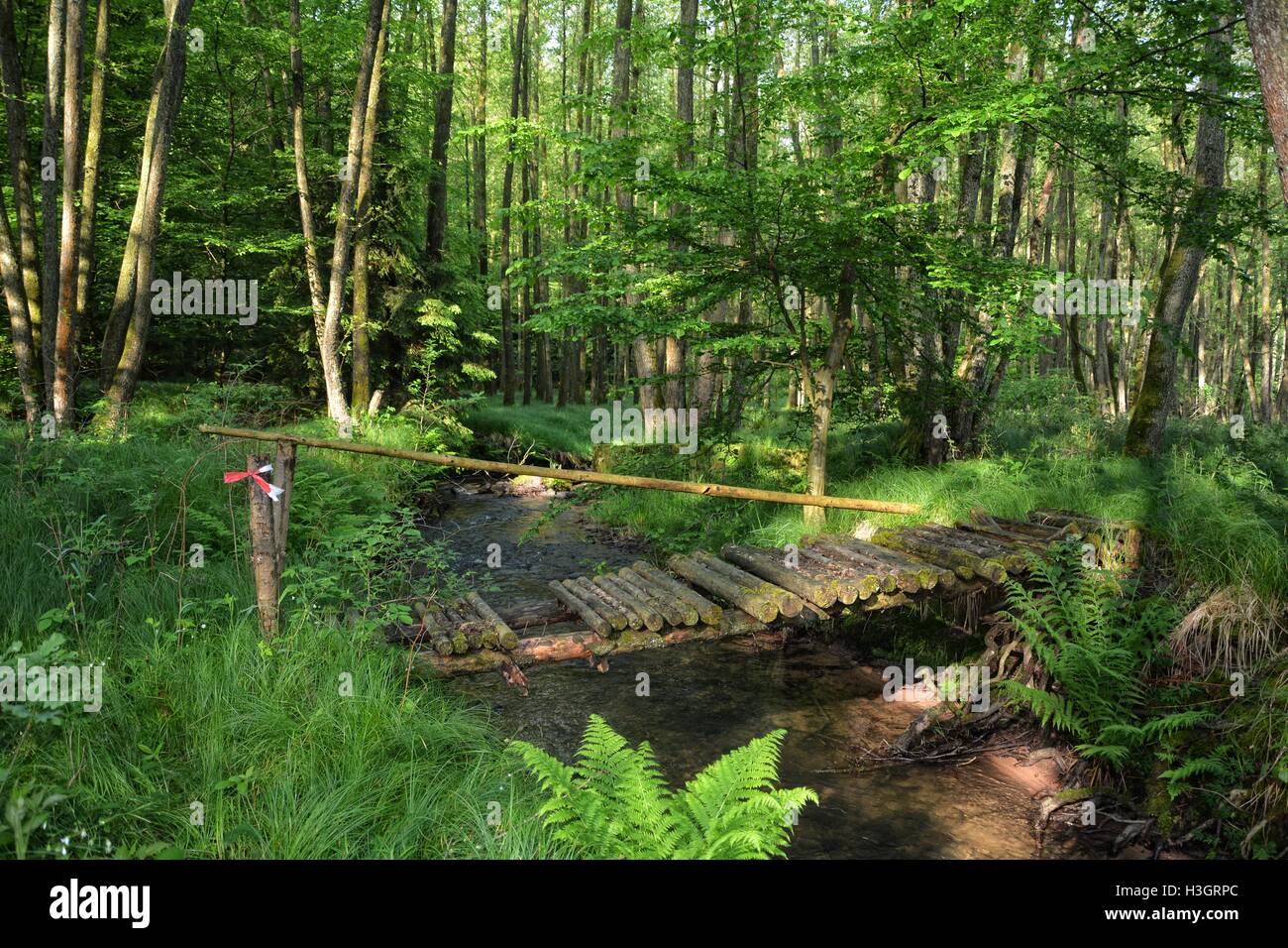 Rotten bridge hi-res stock photography and images - Alamy