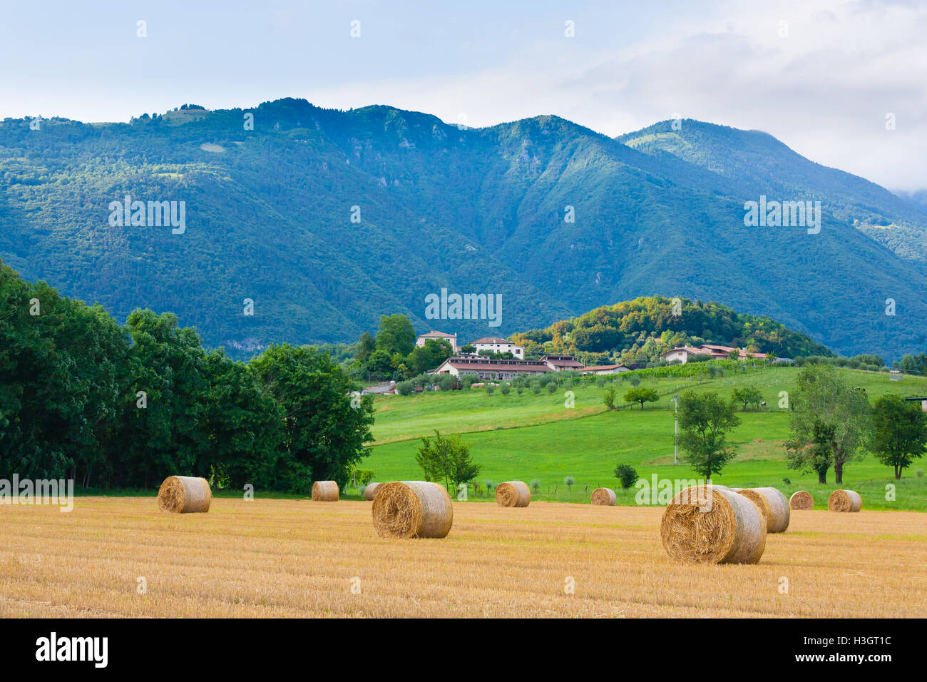 Italian countryside panorama. Round bales on wheat field. Agriculture ...