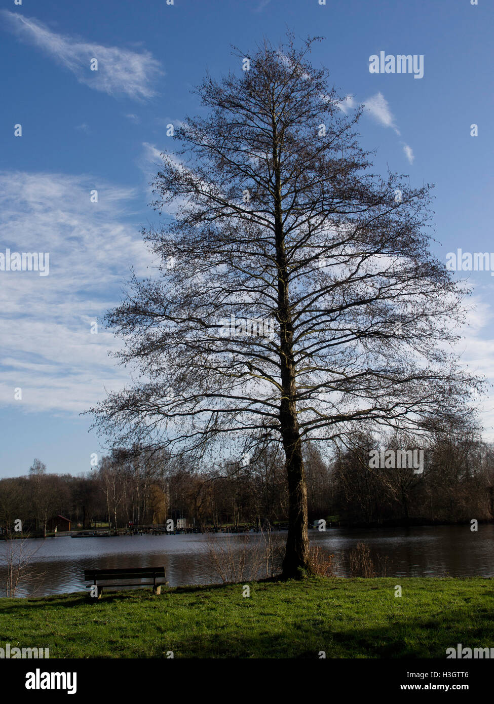 lake in germany Stock Photo - Alamy