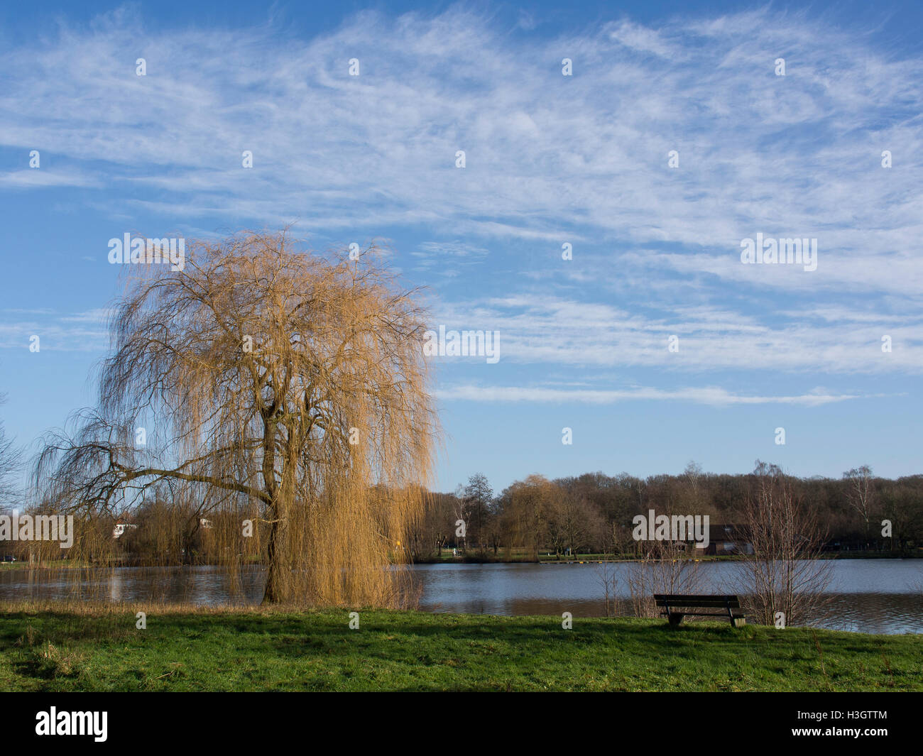 lake in germany Stock Photo - Alamy