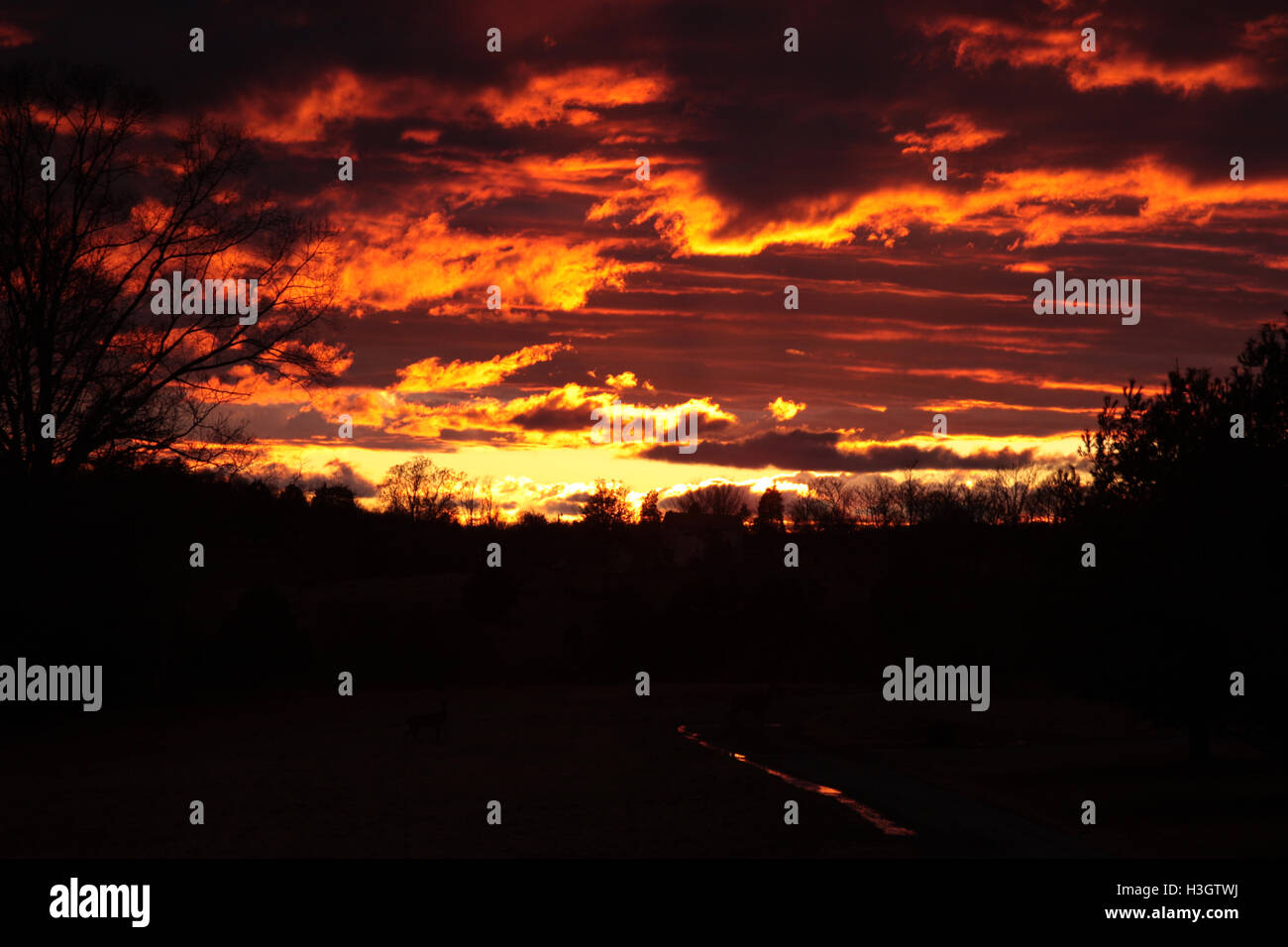 Dramatic re creation hi-res stock photography and images - Alamy