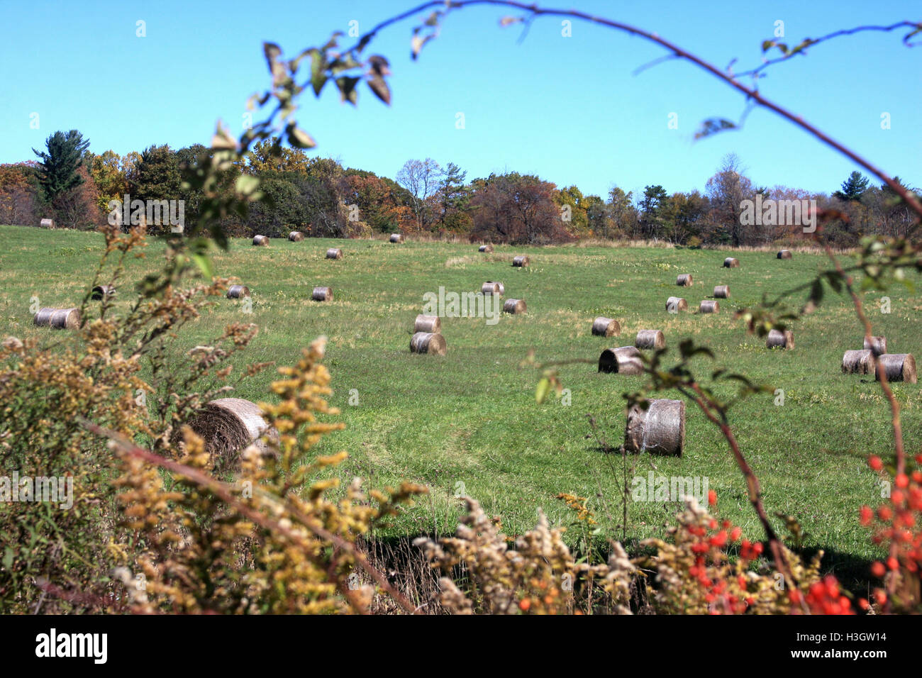 Landscape with hay bales in Blue Ridge Mountains, Virginia, USA, with ...