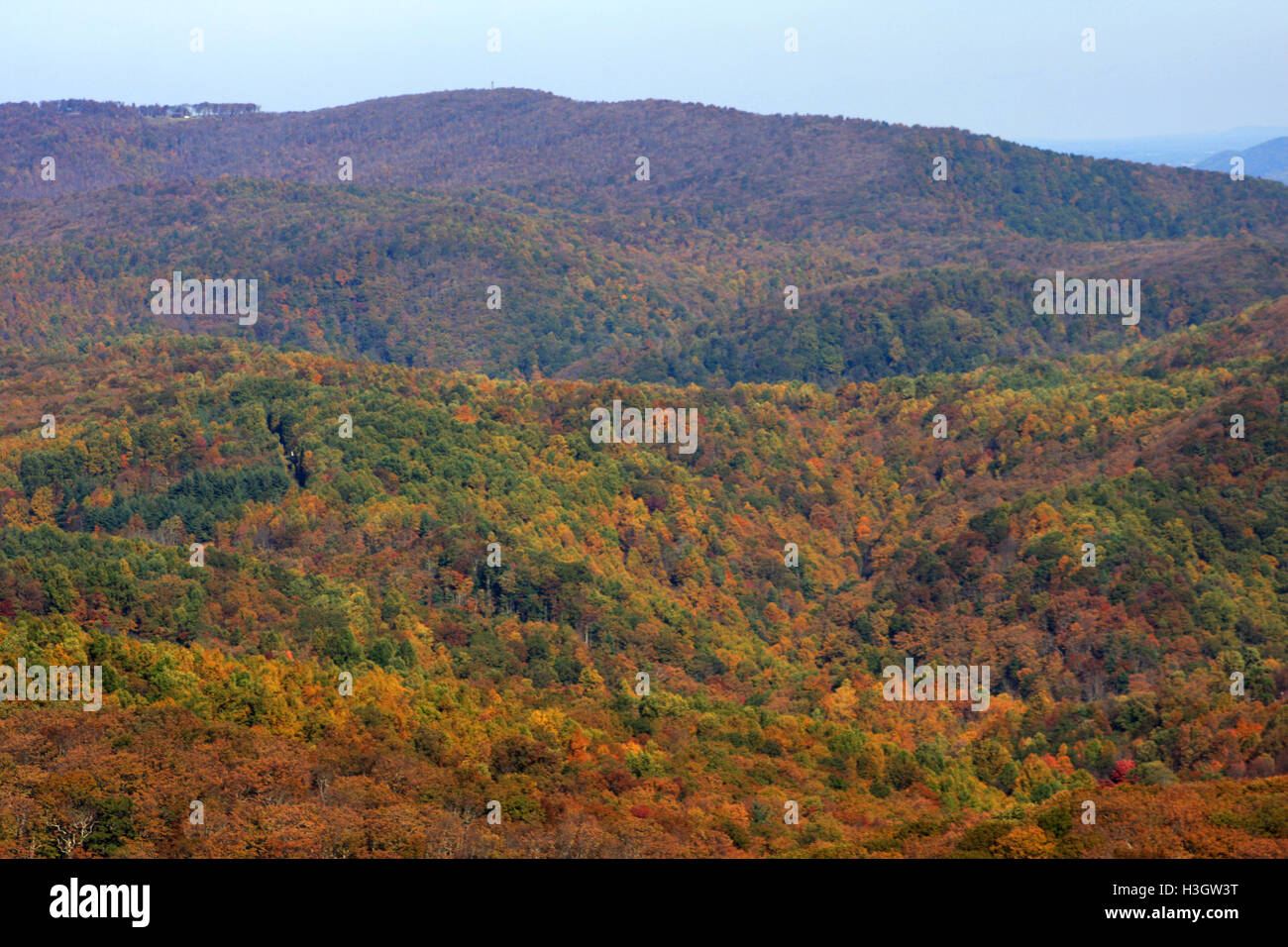 Fall landscape in Blue Ridge Mountains, Virginia, USA Stock Photo - Alamy