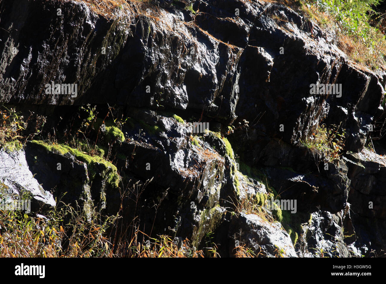 Streams of water coming out of rocks Stock Photo - Alamy