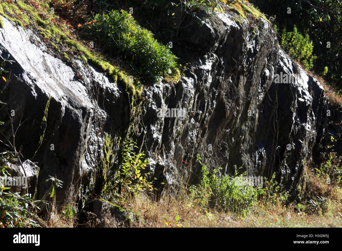 Streams of water coming out of rocks Stock Photo - Alamy