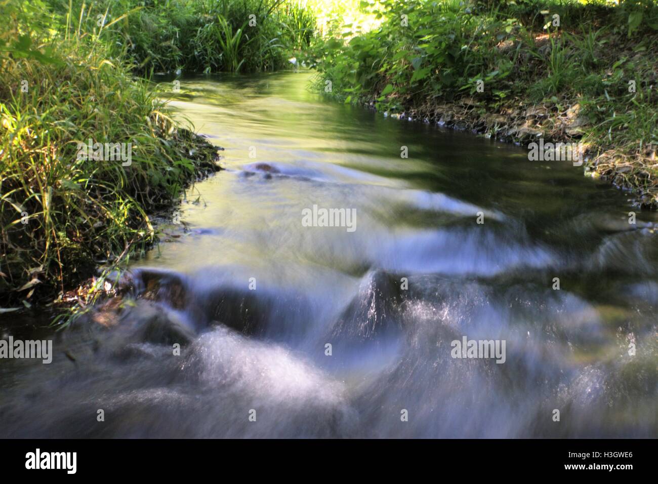 Long exposure stream in nature reserve Stock Photo - Alamy
