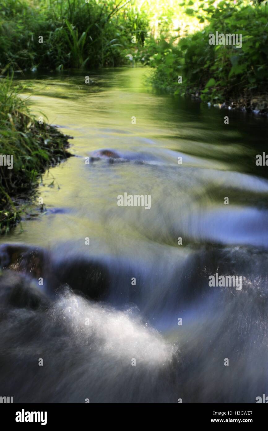 Long exposure stream in nature reserve Stock Photo - Alamy