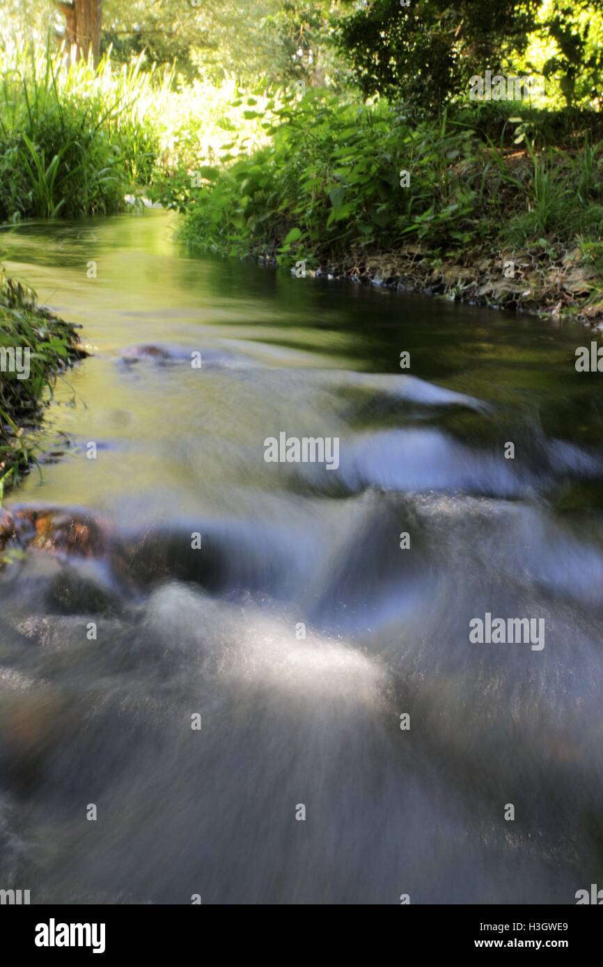 Long exposure stream in nature reserve Stock Photo - Alamy