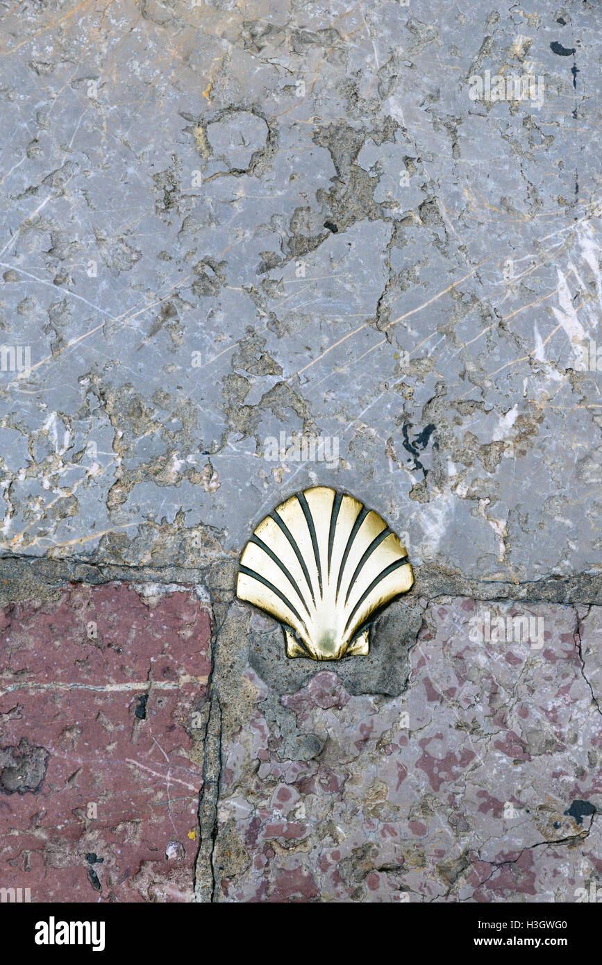 Pilgrims shell hi-res stock photography and images - Alamy