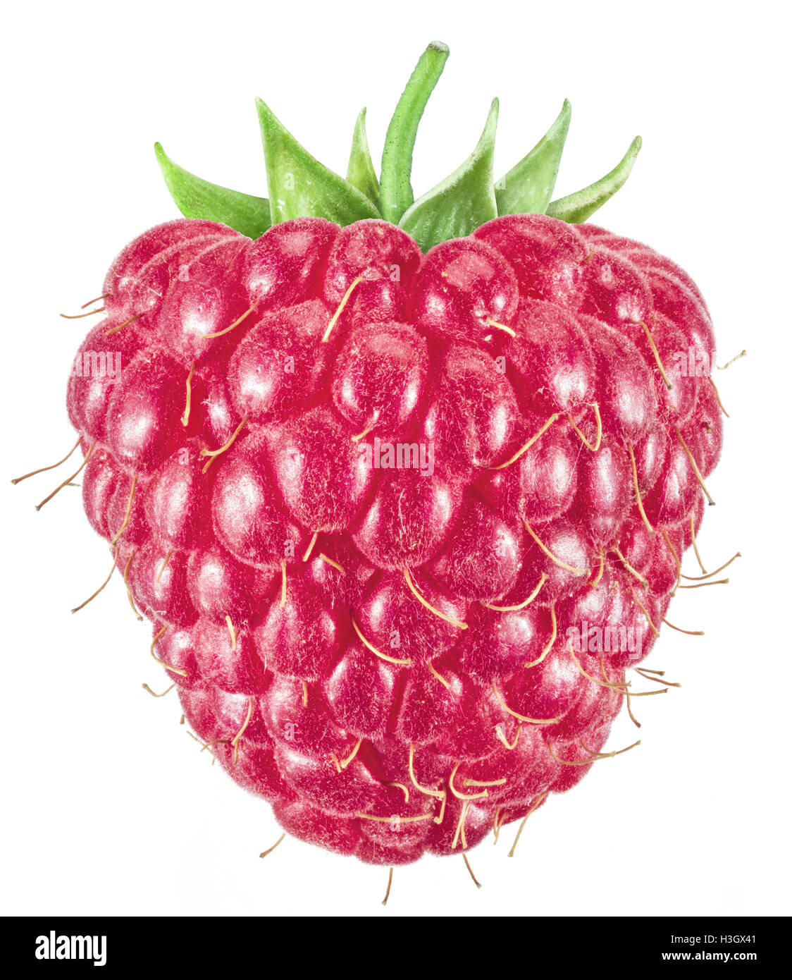 Ripe raspberry on the white background Stock Photo - Alamy