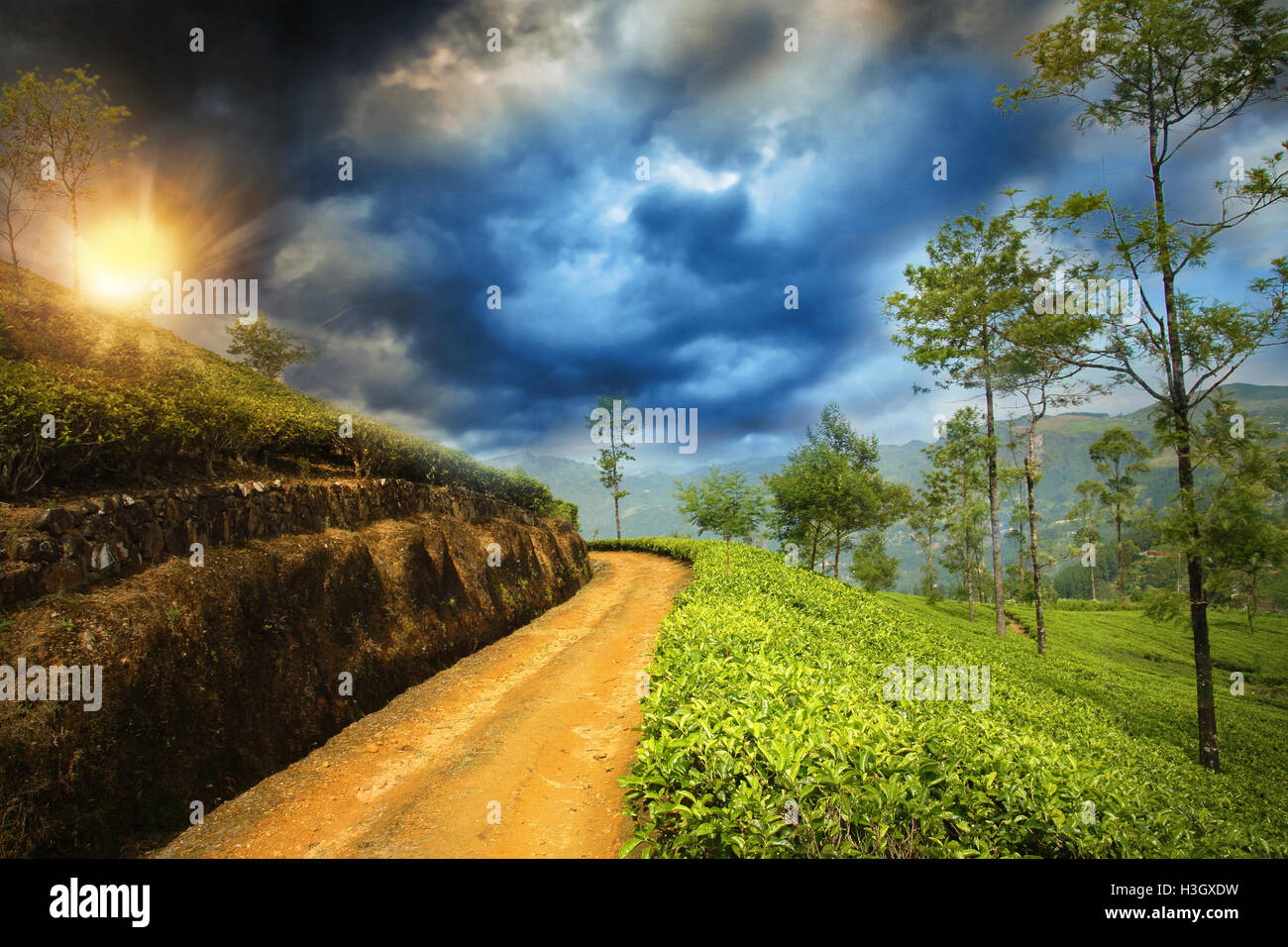 beautiful dramatic sunset in countryside Stock Photo - Alamy