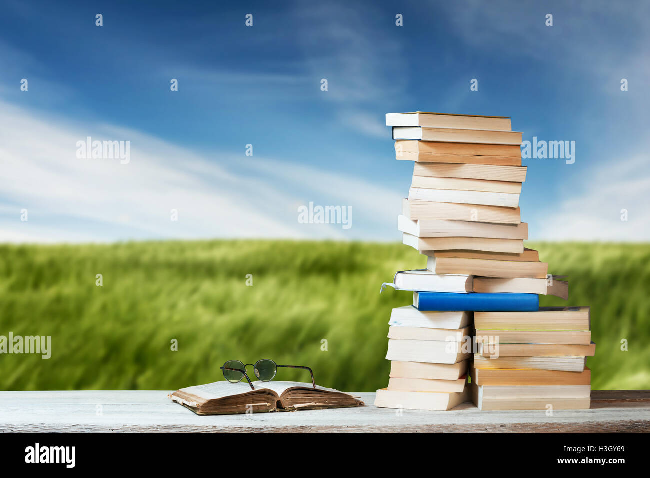 Green book guide for travel hi-res stock photography and images - Alamy