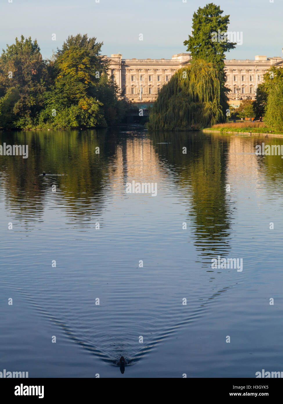 Buckingham Palace Morning High Resolution Stock Photography and Images - Alamy