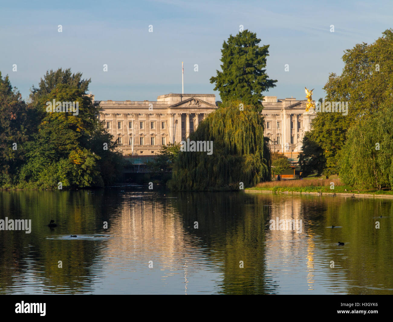 Buckingham Palace St James' Park Stock Photo - Alamy