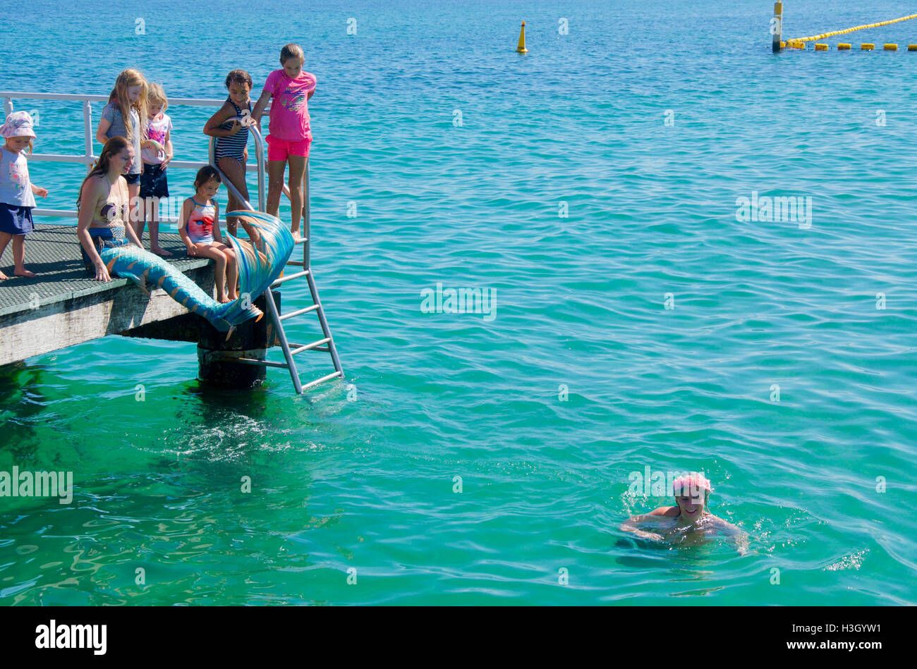 Shark costume australia hi-res stock photography and images - Alamy