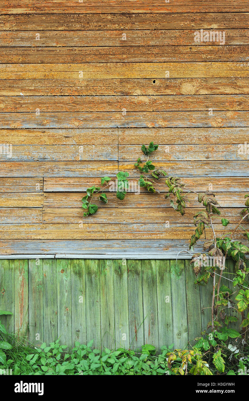Vintage wooden deck close up Stock Photo - Alamy